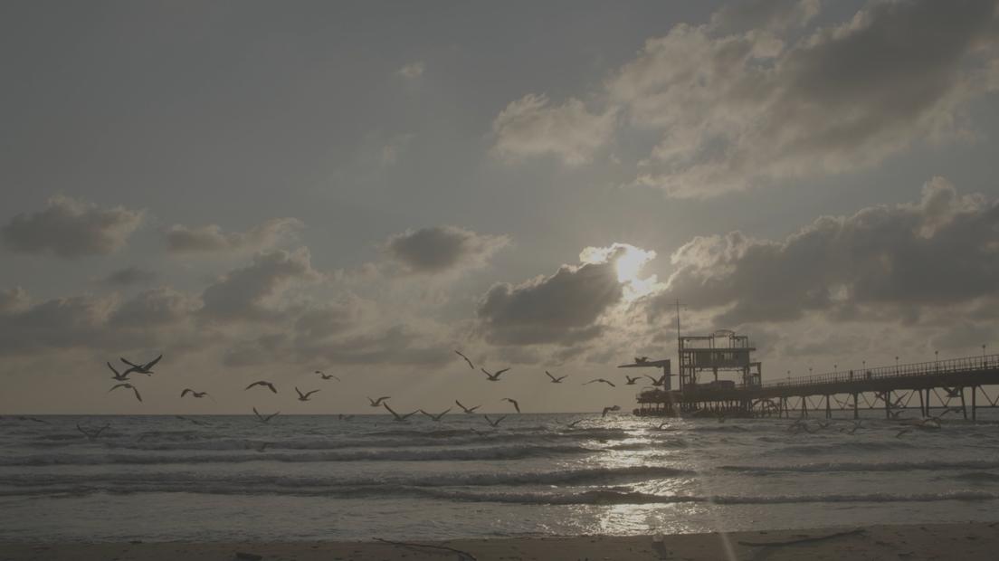 Unleashing Pure Adrenaline: Real 10 Action Documentaries You Can'T Miss ...