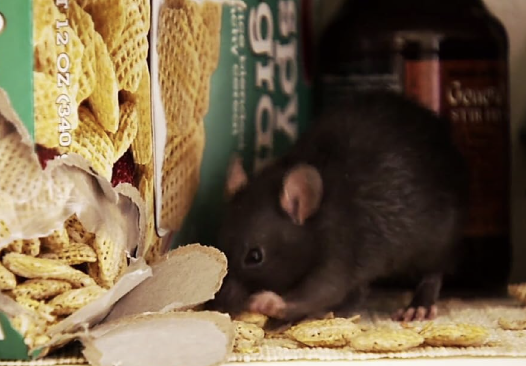 Exploring Final Frontier: Best Science Fiction Documentaries You Need ...