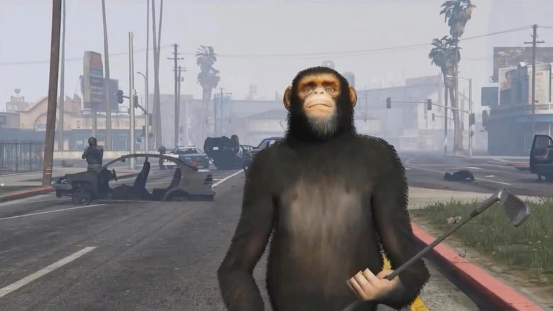 ‘Goin’ South’ Vs. Mdpope: Journey Through Dark Side Documentary Film ...