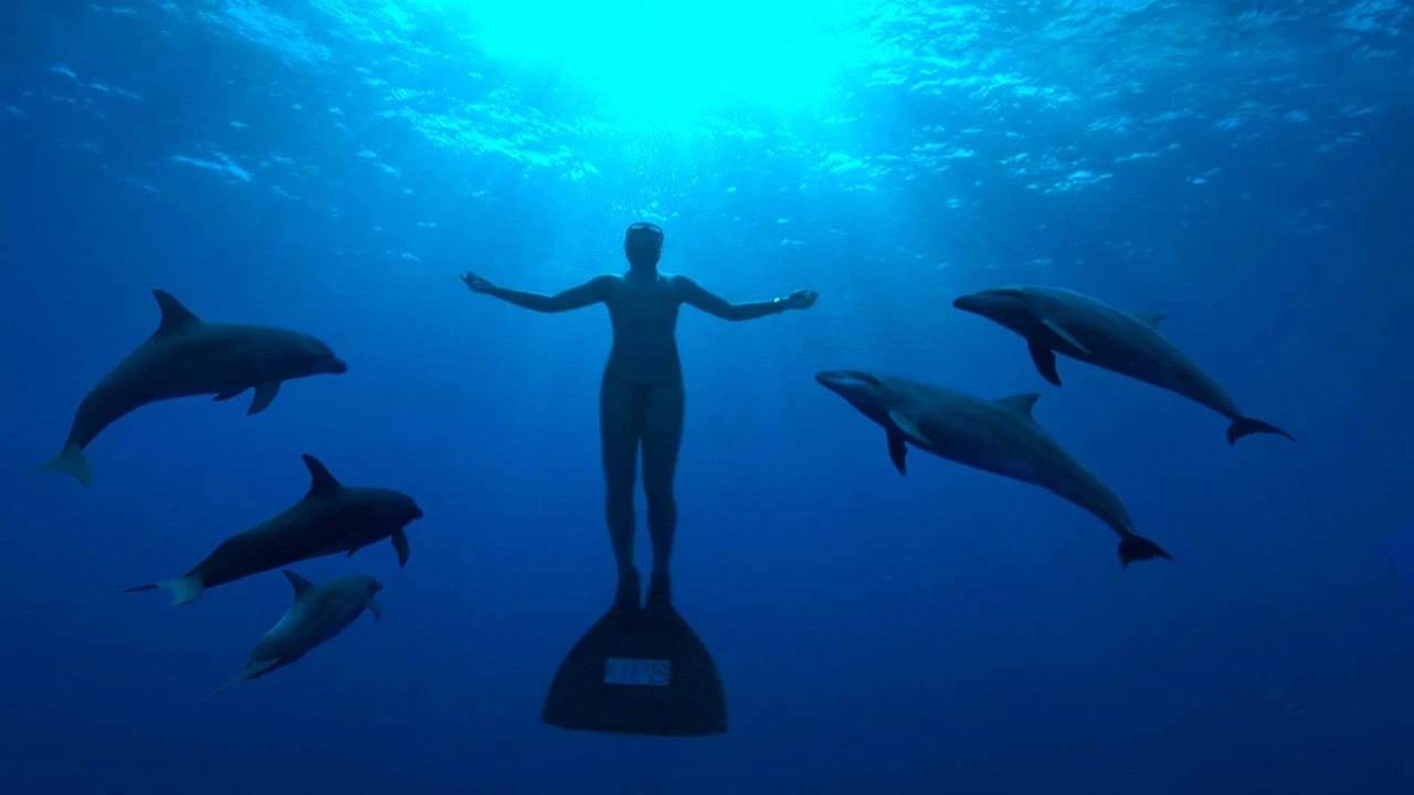 ‘Goin’ South’ Vs. Mdpope: Journey Through Dark Side Documentary Film ...