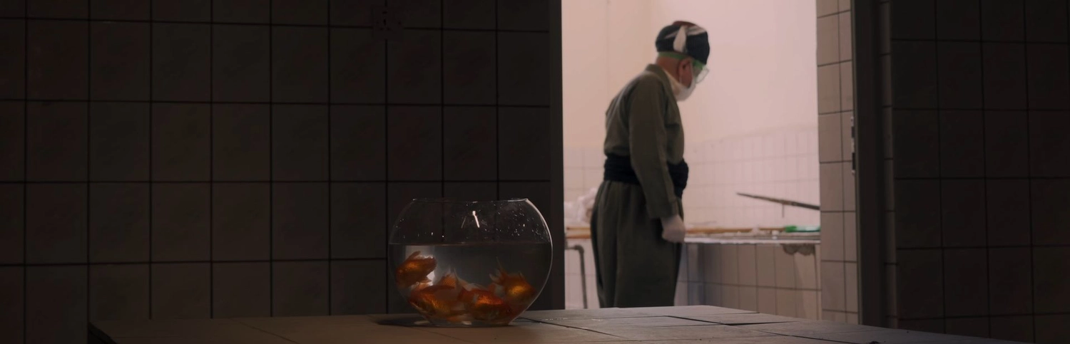 ‘Goin’ South’ Vs. Mdpope: Journey Through Dark Side Documentary Film ...