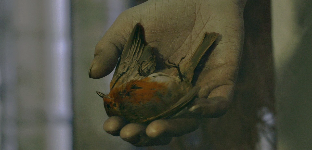 ‘Goin’ South’ Vs. Mdpope: Journey Through Dark Side Documentary Film ...