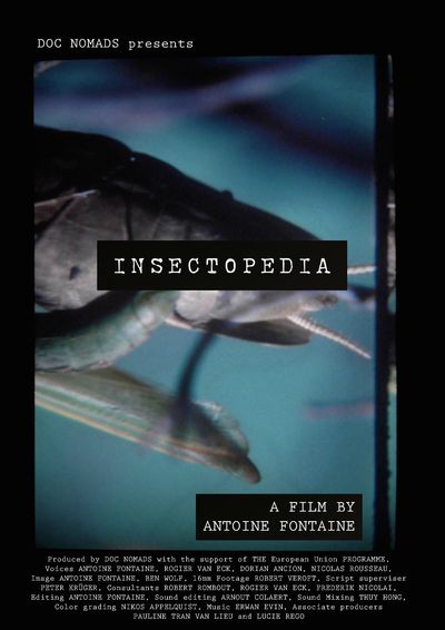 Insectopedia - Documentary Film | Watch Online